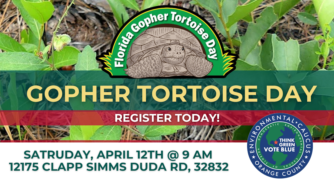 Split Oak Gopher Tortoise Day- Table with the Environmental Caucus ...